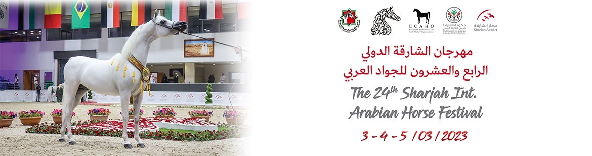 24th Sharjah International Arabian Horse Championship class listing and ...