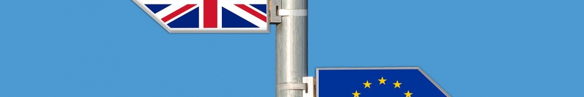 News and updates from ECAHO - ECAHO